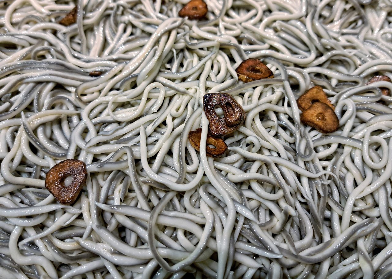 ¿SABÉIS EL ORIGEN DE LA GULA? | Cofradía Pescadores de Llanes